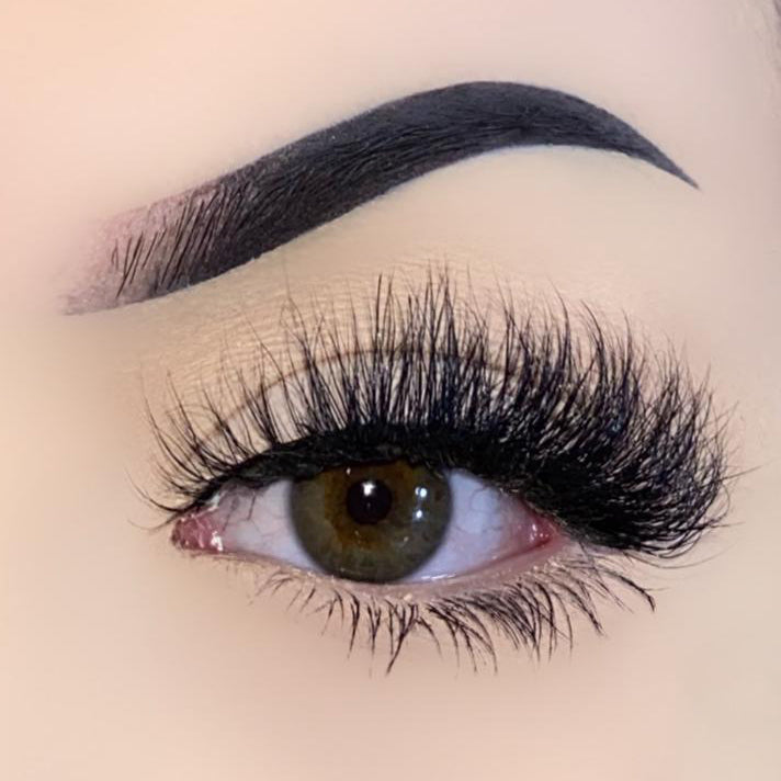 DRAMA – Hollywood Lash